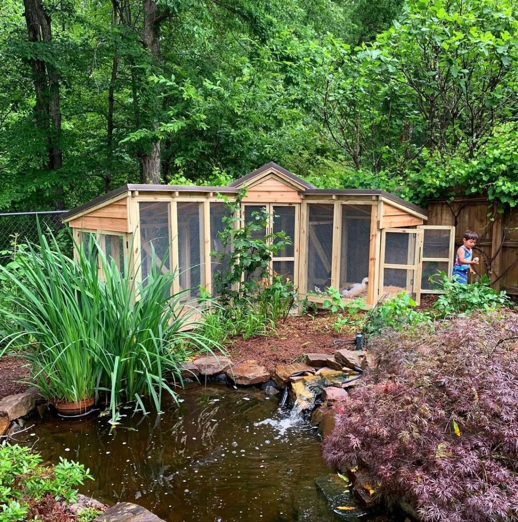 Designing The Perfect Duck Coop - [14 Guides To Follow!]