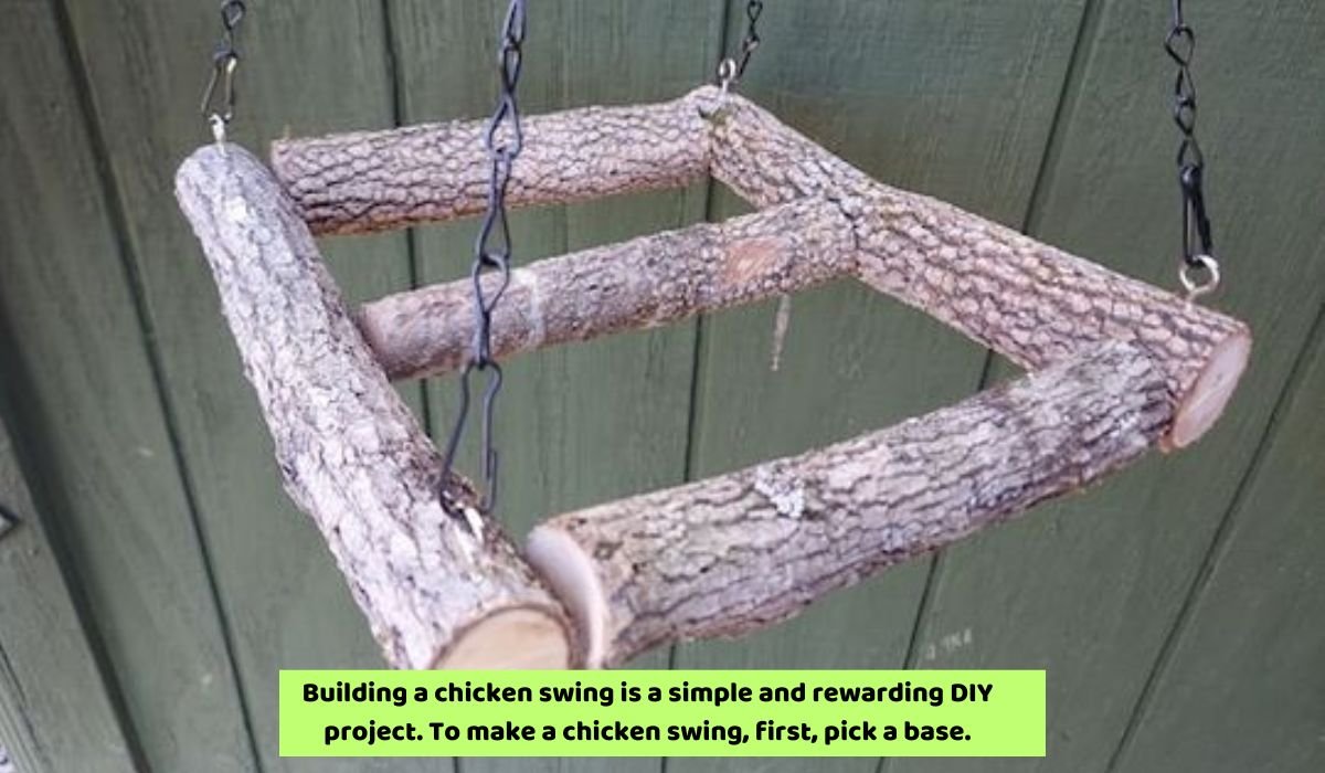 Why You Should Build A Chicken Swing? 10 Ideas To Train!