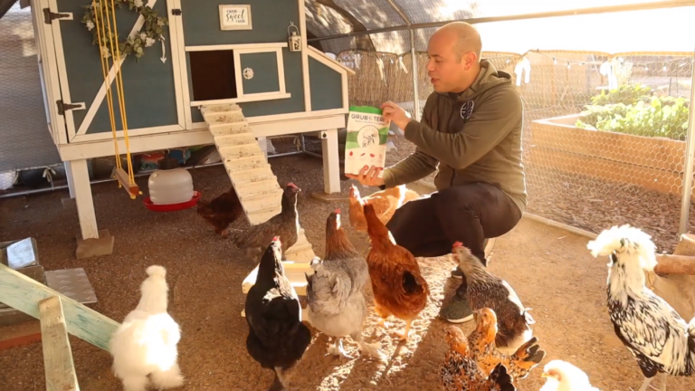 Free DIY Chicknic Table Plans: 7 Steps To Build It!