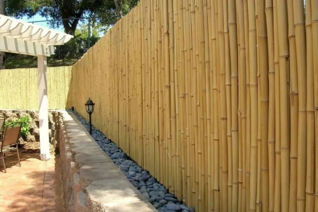 20 DIY Cheap Privacy Fence Ideas: Ways To Make Your Secret Garden