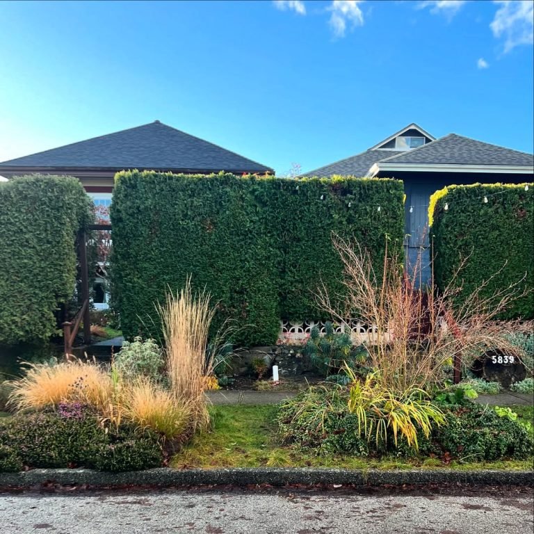 17 Front Yard Privacy Ideas You’ll Love - FowlFamily - DIY, Home Decor ...